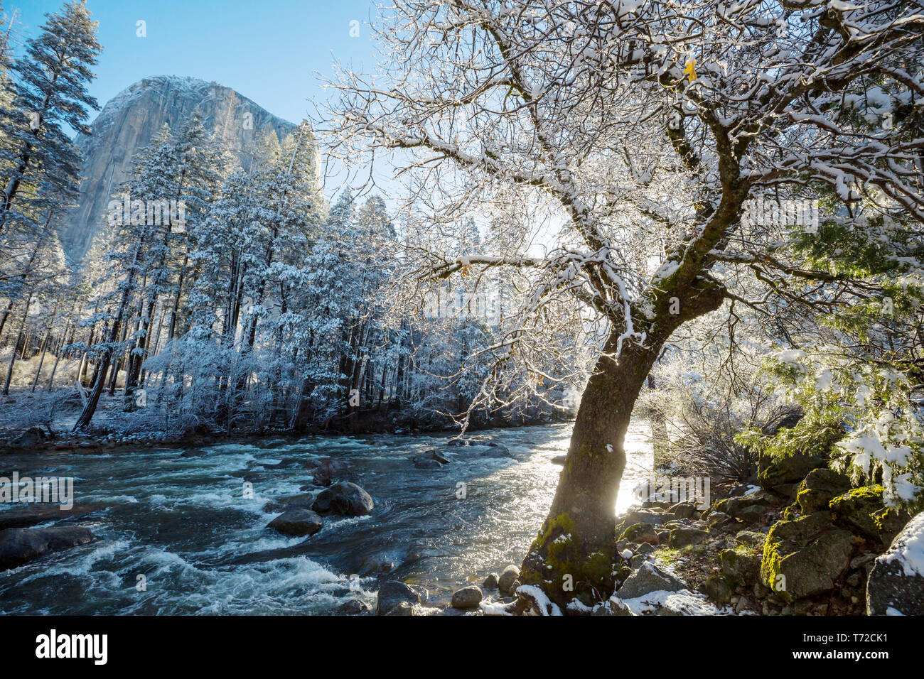 Early spring in Yosemite Stock Photo - Alamy