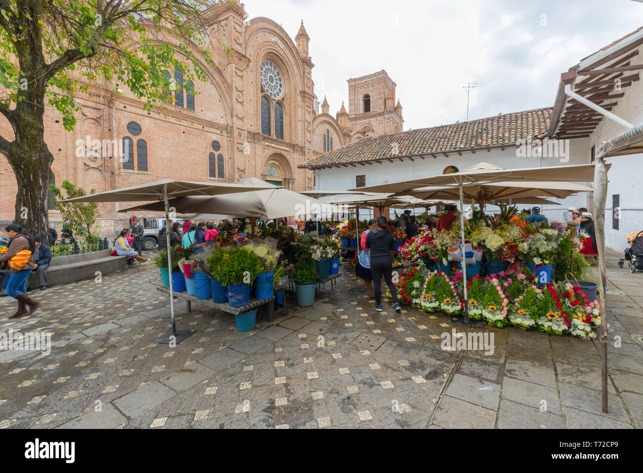 Cuenca ecuador flowers hi-res stock photography and images - Alamy