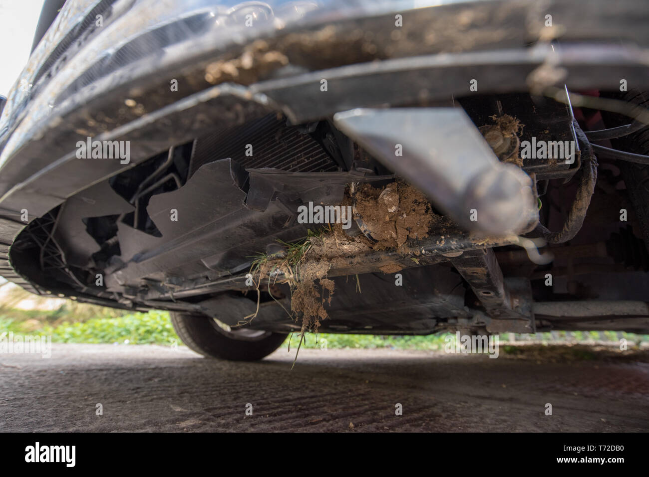 Mirror underside car hi-res stock photography and images - Alamy