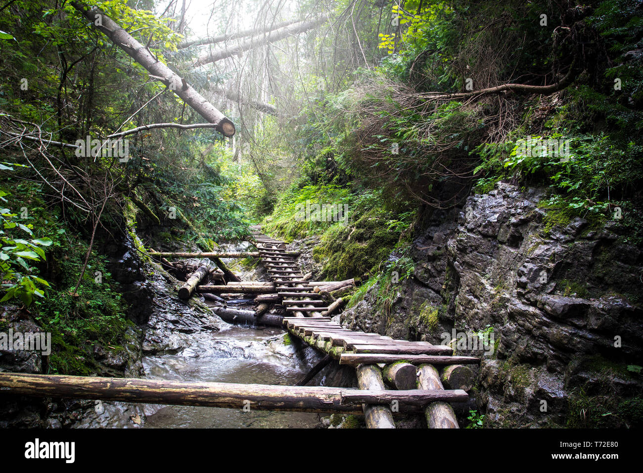 Slovensky raj hi-res stock photography and images - Alamy
