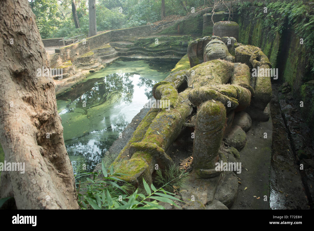 Indian jungle hi-res stock photography and images - Alamy