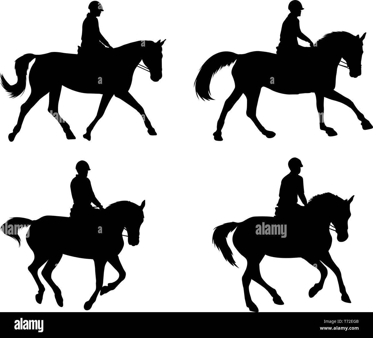 riding horses silhouettes set - vector Stock Vector Image & Art - Alamy
