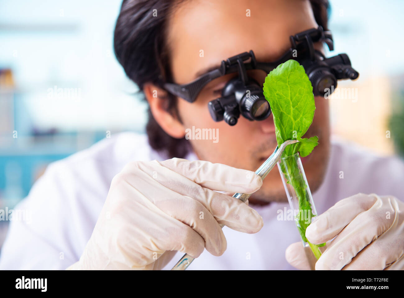 Male biotechnology scientist chemist working in the lab Stock Photo - Alamy