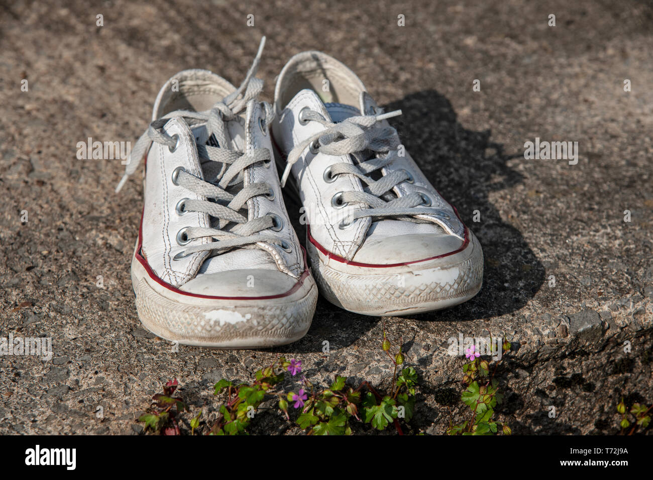 Pairs of women's sneakers standing on a concrete step Stock Photo - Alamy