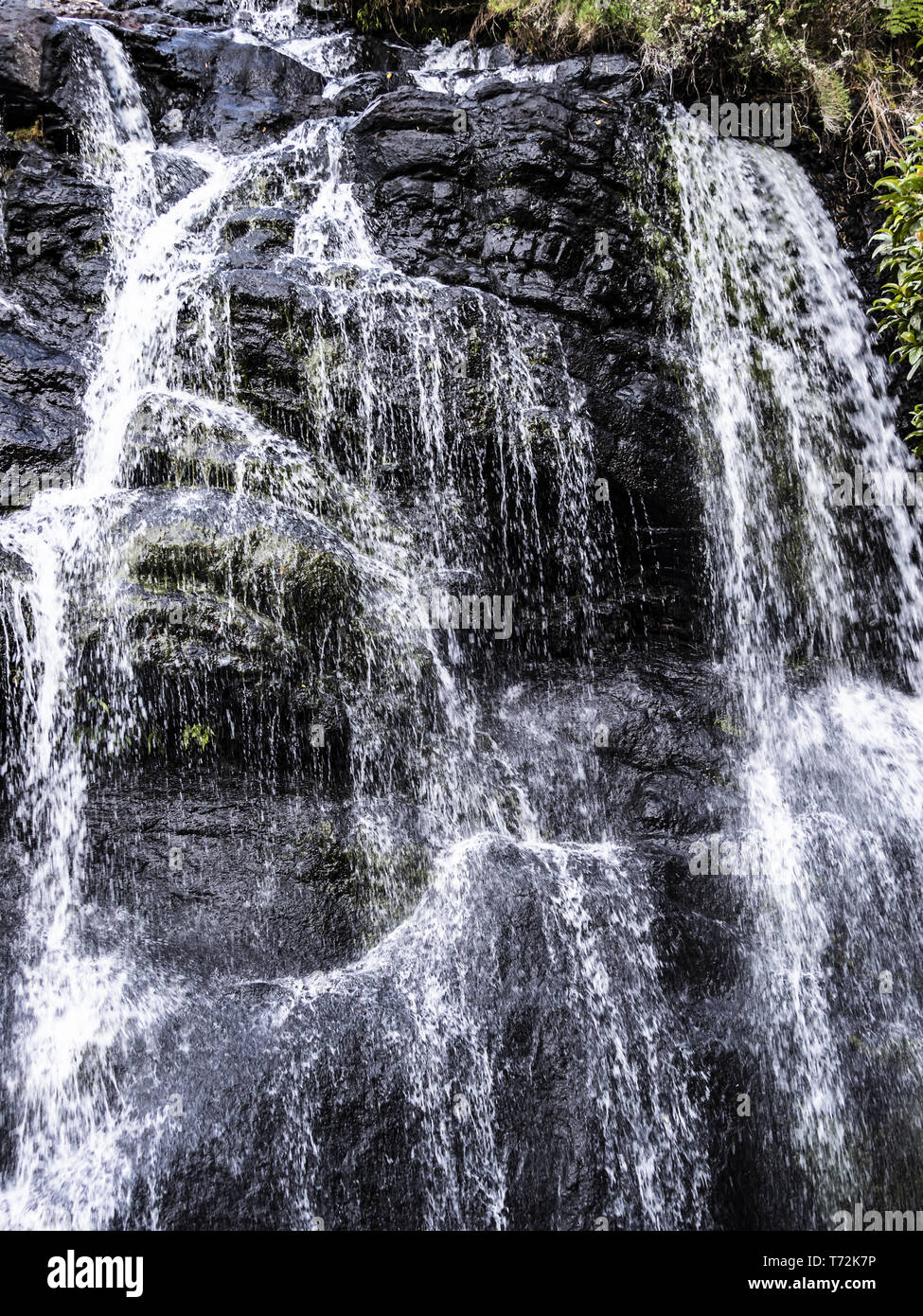 Sri Lanka - Baker's Falls Stock Photo - Alamy