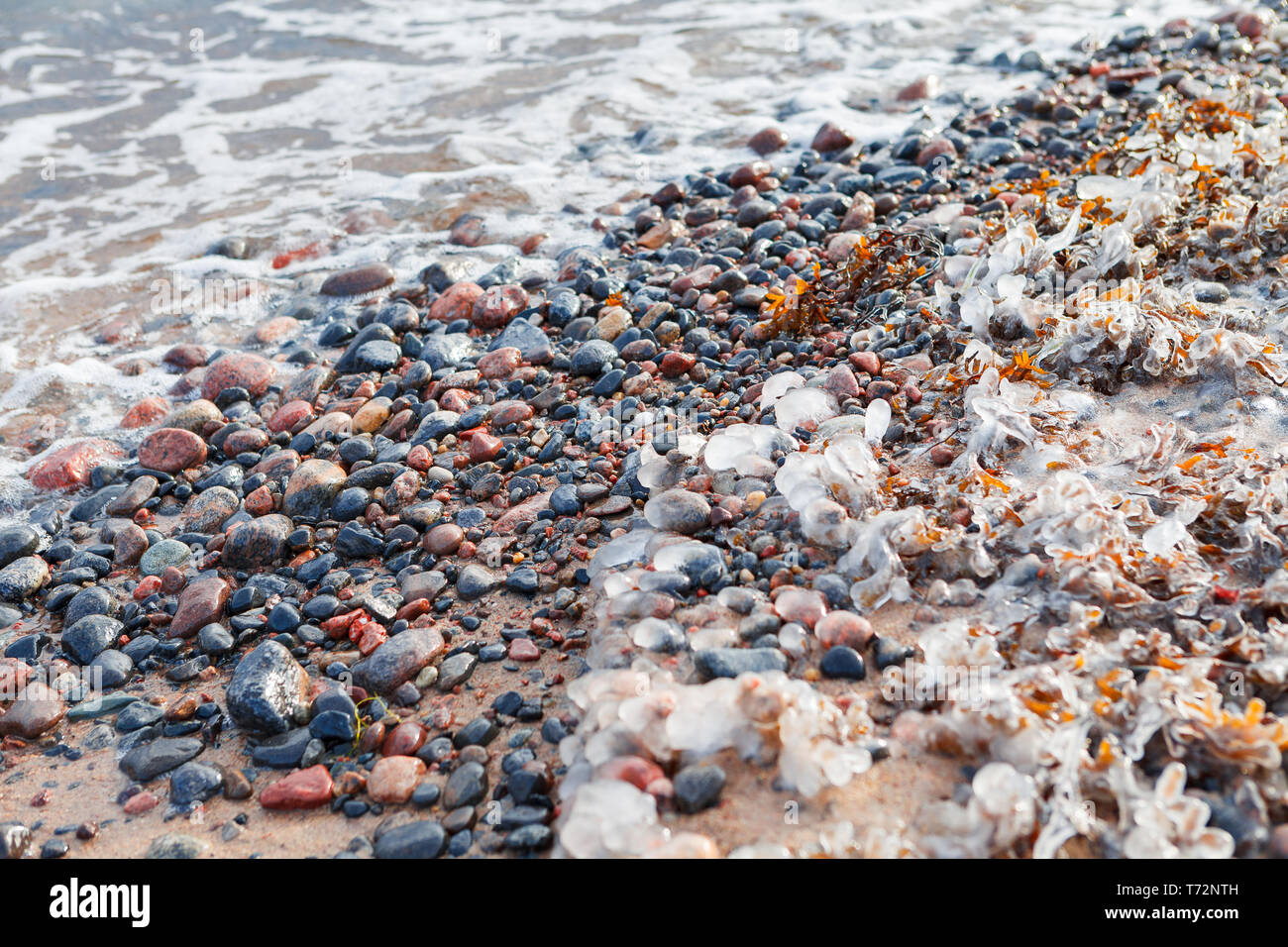 Coastal frozen pebble beach of Baltic sea. Moody wintrer day. Macro ...