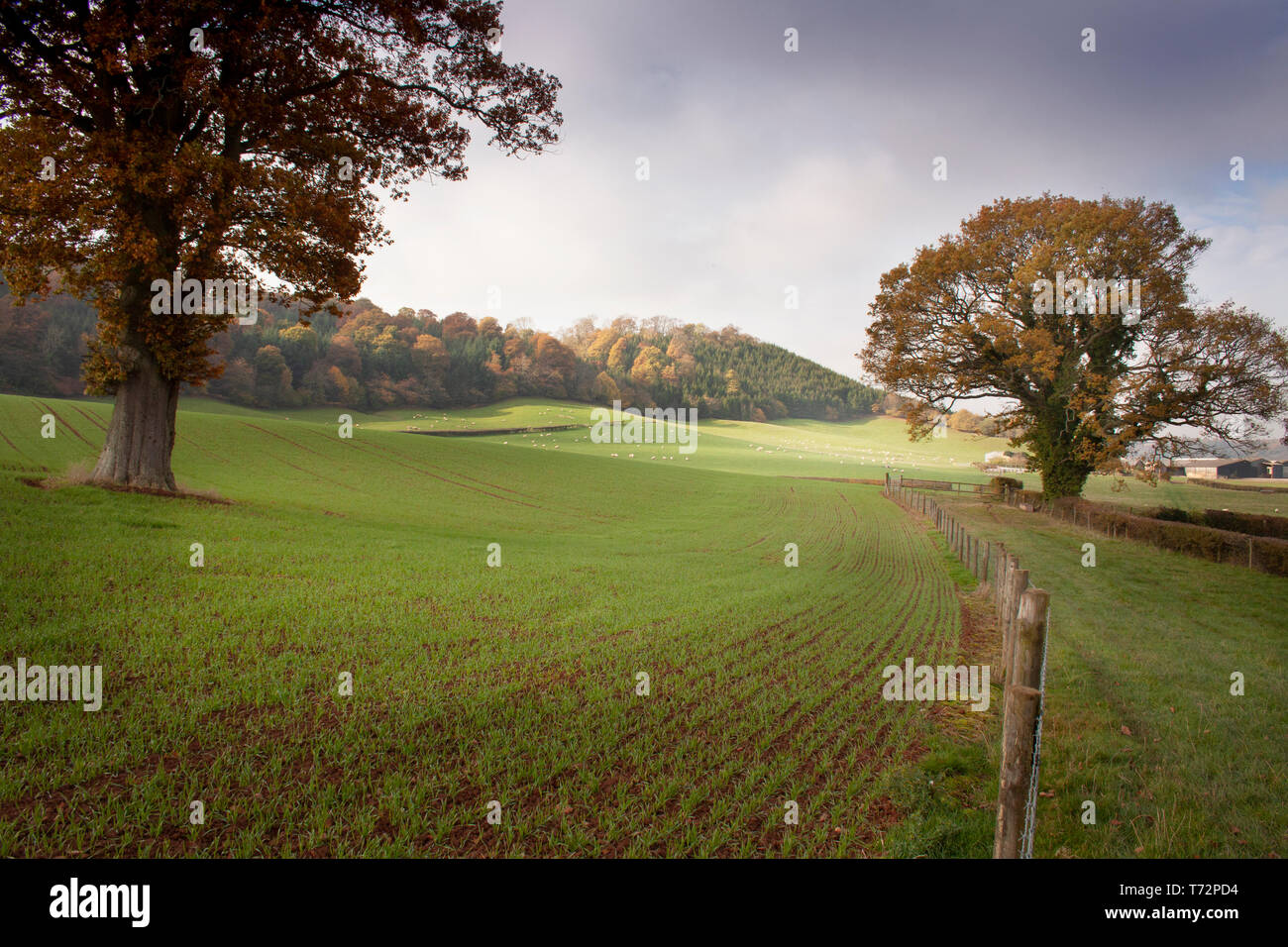 River dore hi-res stock photography and images - Alamy