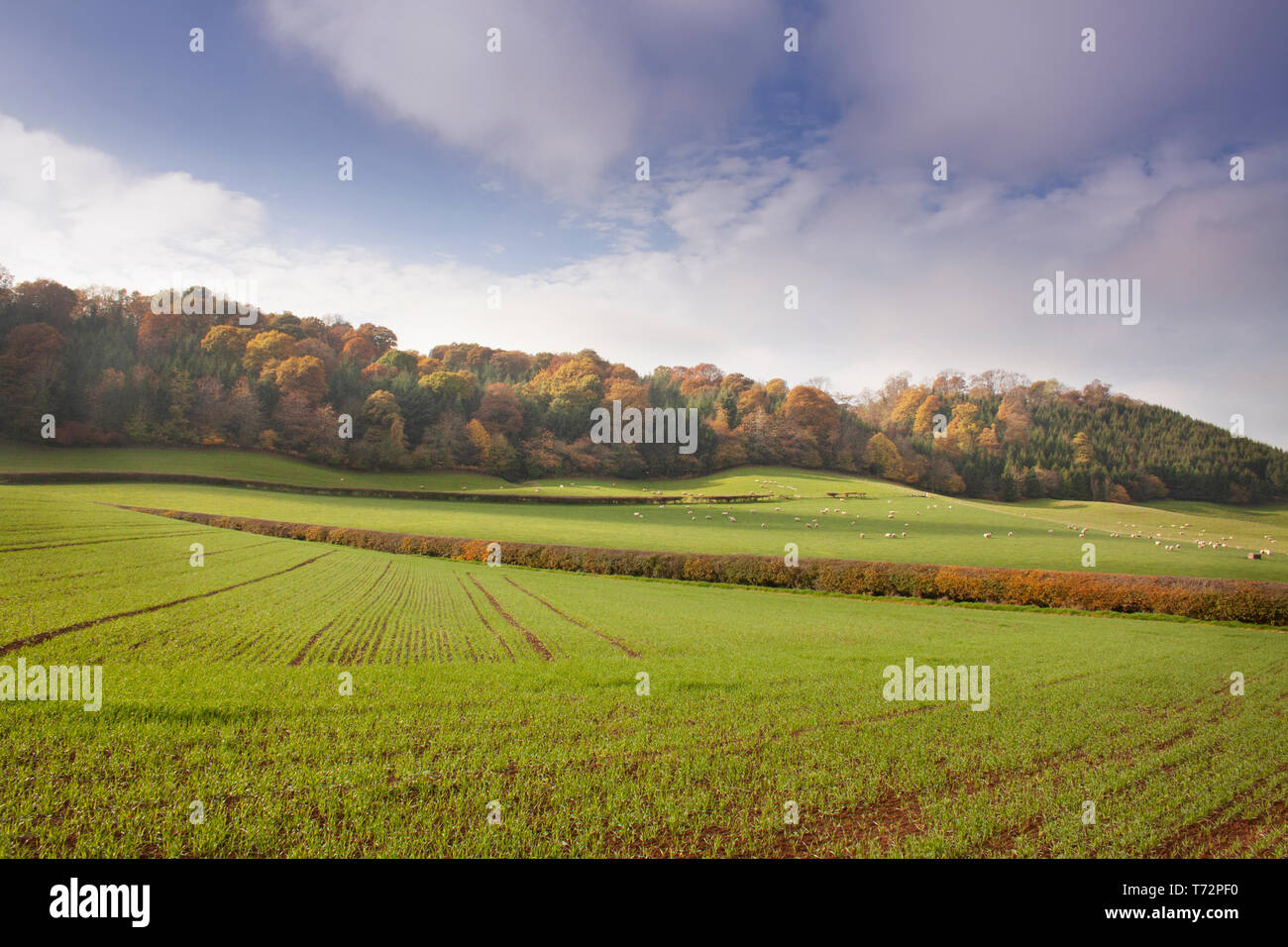 River Dore High Resolution Stock Photography and Images - Alamy