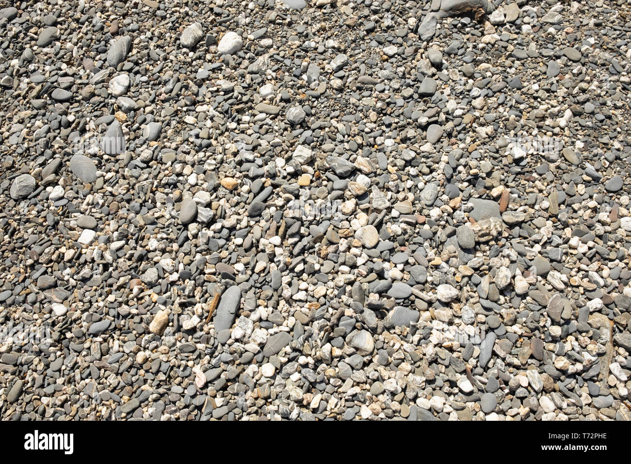 Detail of Pebble beach, Helford, Cornwall, England Stock Photo - Alamy
