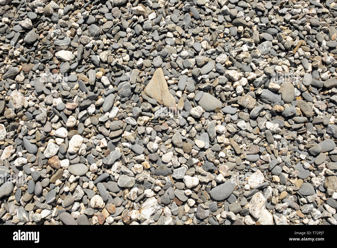 Detail of Pebble beach, Helford Estuary, Cornwall, England Stock Photo ...