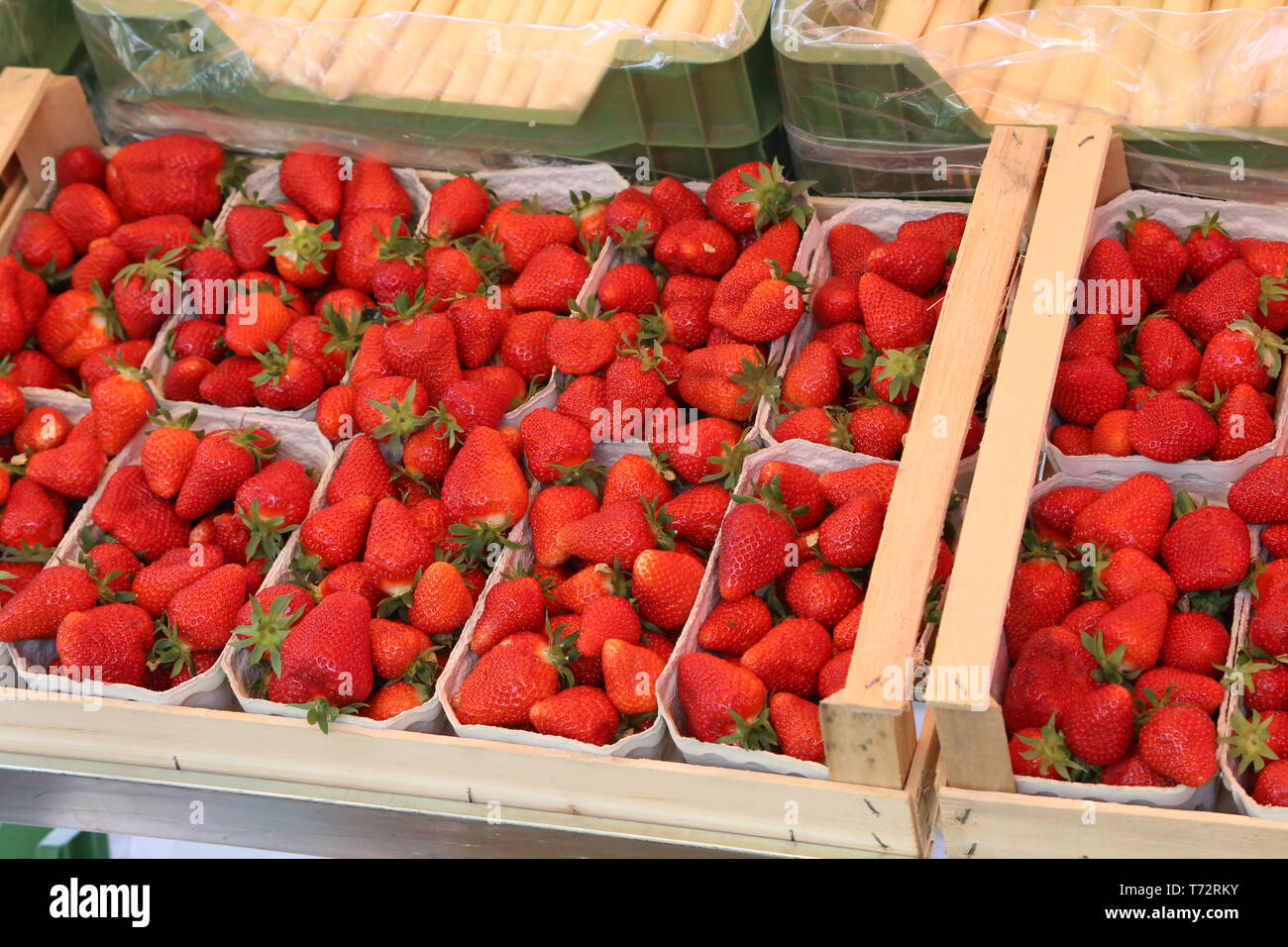 Strawberries for sale cameron highlands hi-res stock photography and ...