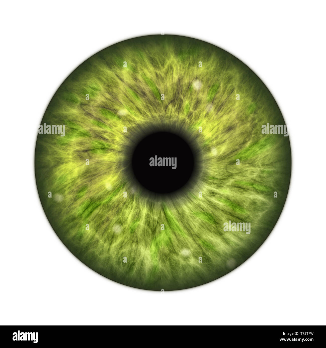 Realistic iris Cut Out Stock Images & Pictures - Alamy