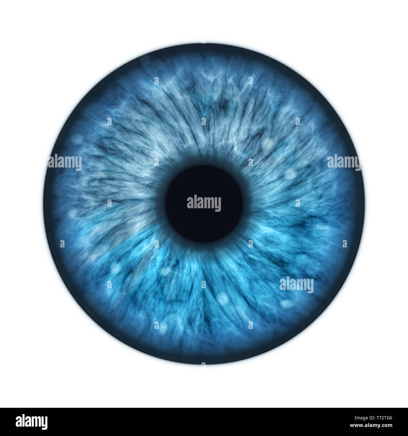 Illustration blue iris iris Cut Out Stock Images & Pictures - Alamy
