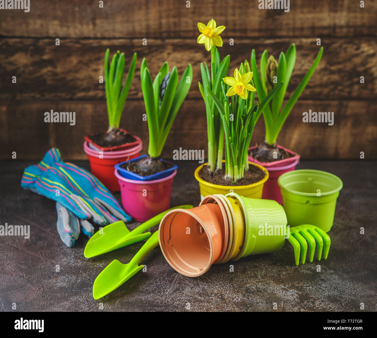 Spring tools hi-res stock photography and images - Alamy