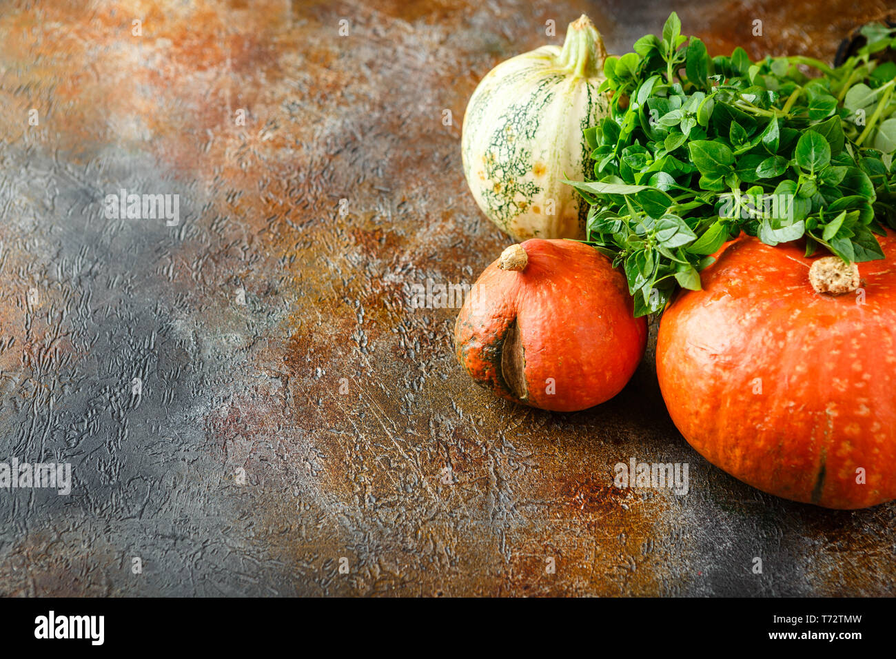 Pumpkin, basil on a rusty background Stock Photo - Alamy
