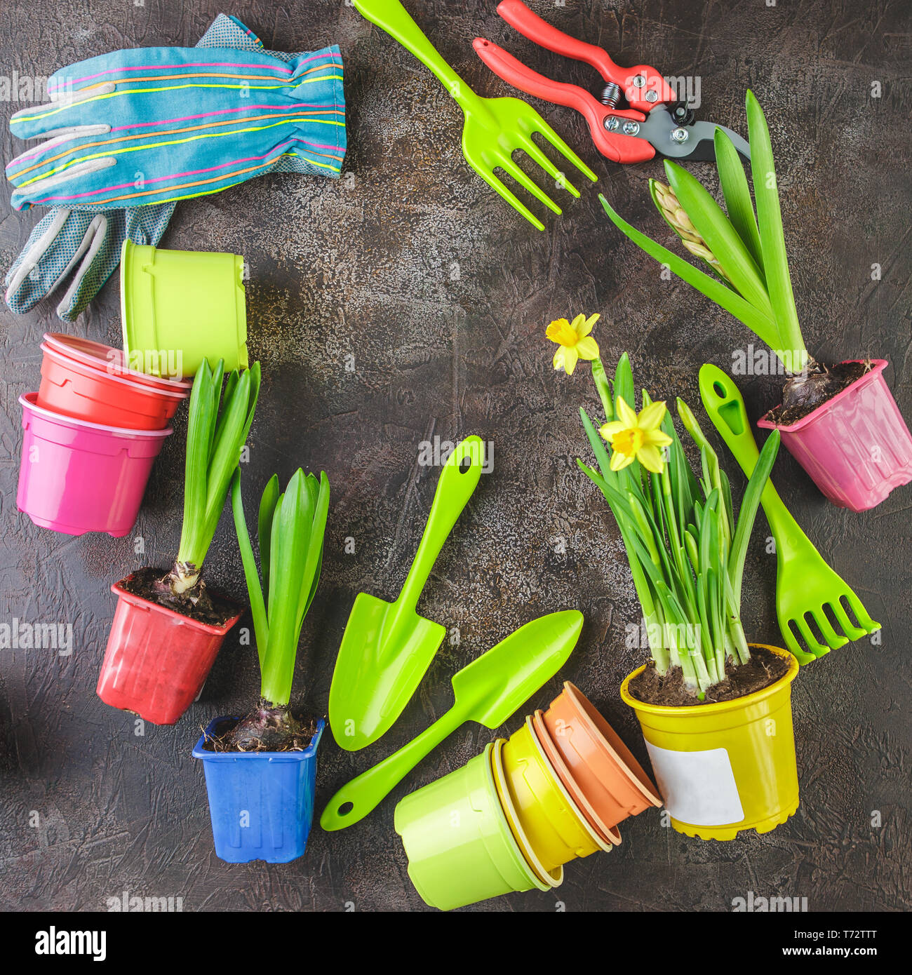 Tools flowers hi-res stock photography and images - Alamy