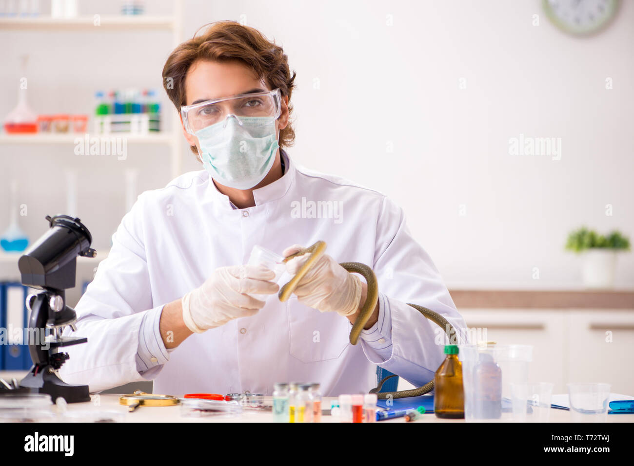 Viper venom extract hi-res stock photography and images - Alamy