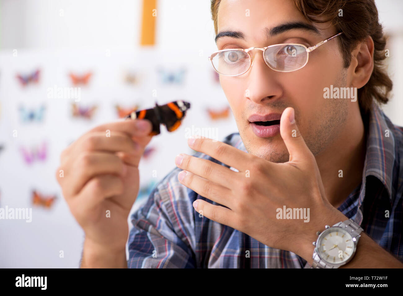 Student entomologist studying new species of butterflies Stock Photo ...