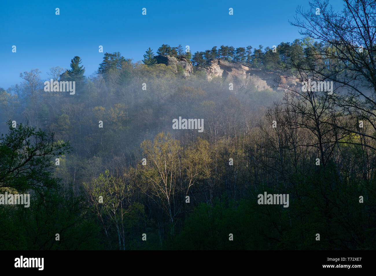 Fog enshrouds the rock face of Fortress rock, at the Red River Gorge ...