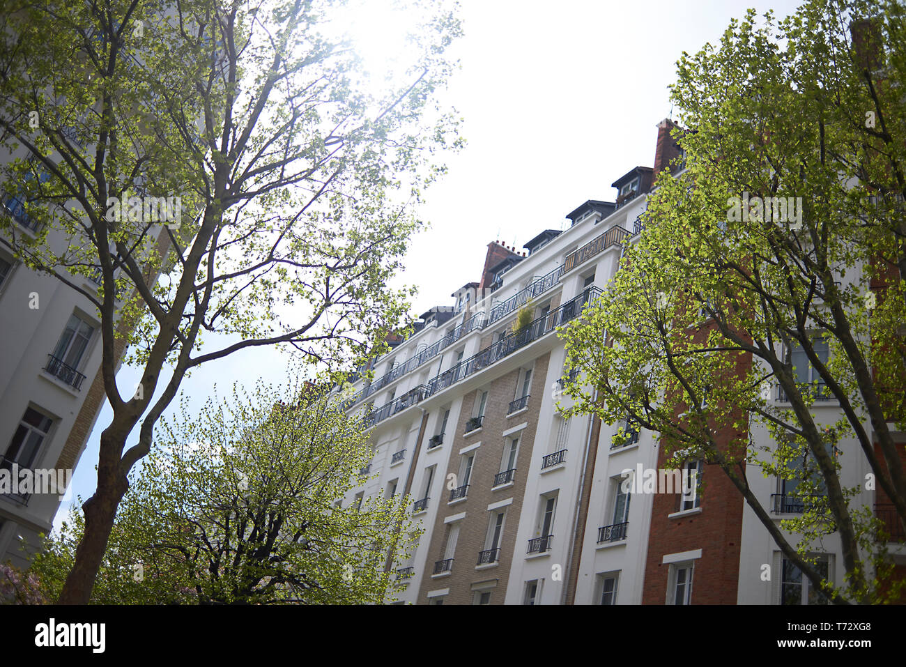 Beautiful trees in a street in Paris with luxury apartments Stock Photo ...