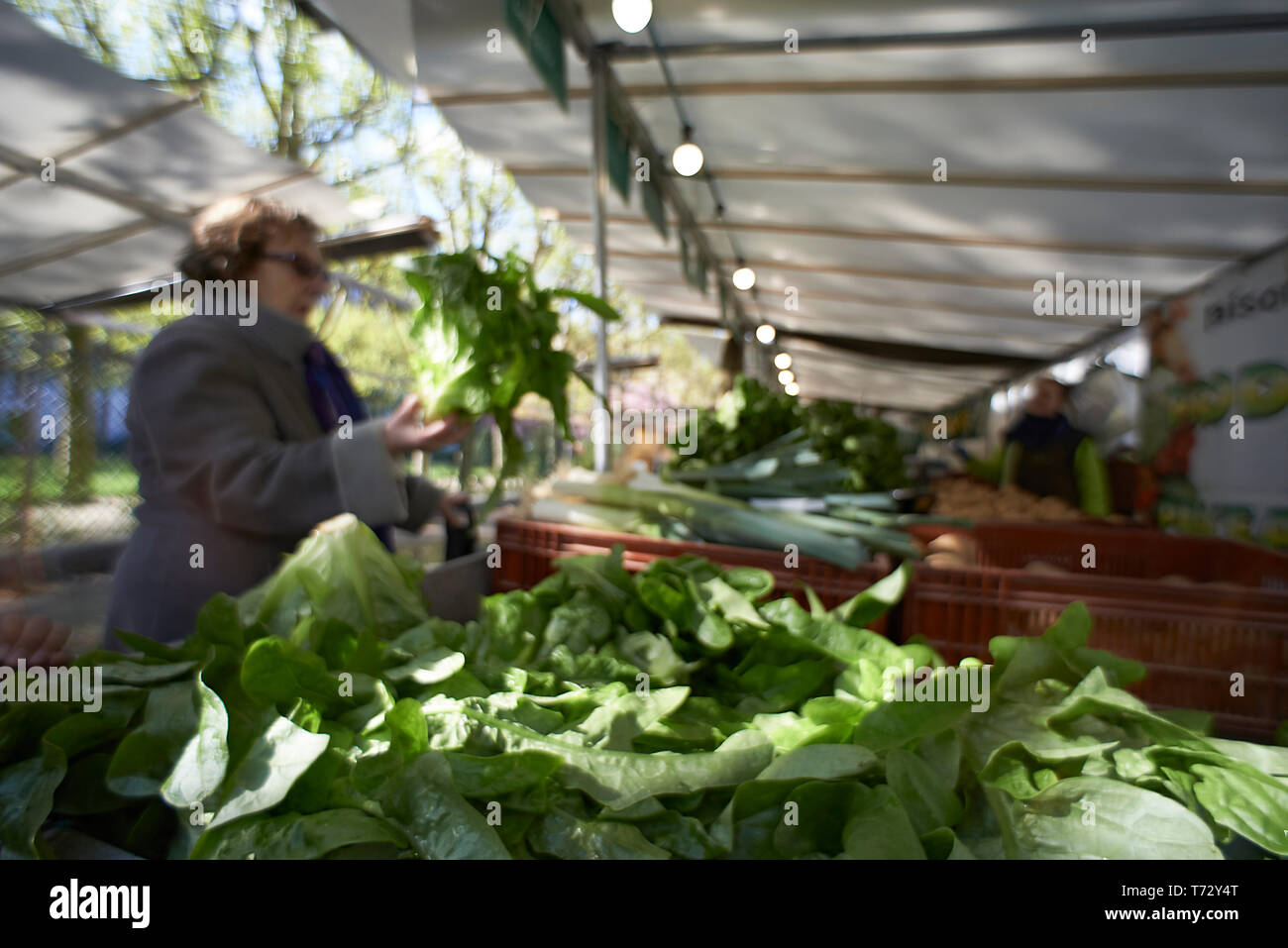 People buying fruits and vegetables at a local market in the city ...