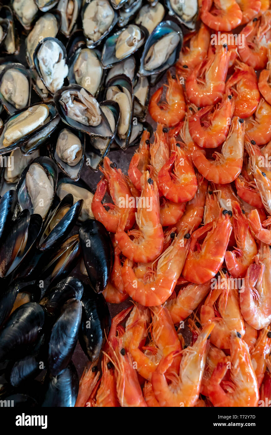 Red Shrimp Green Mussel and Black Mussel in Seafood on ice buffet bar ...