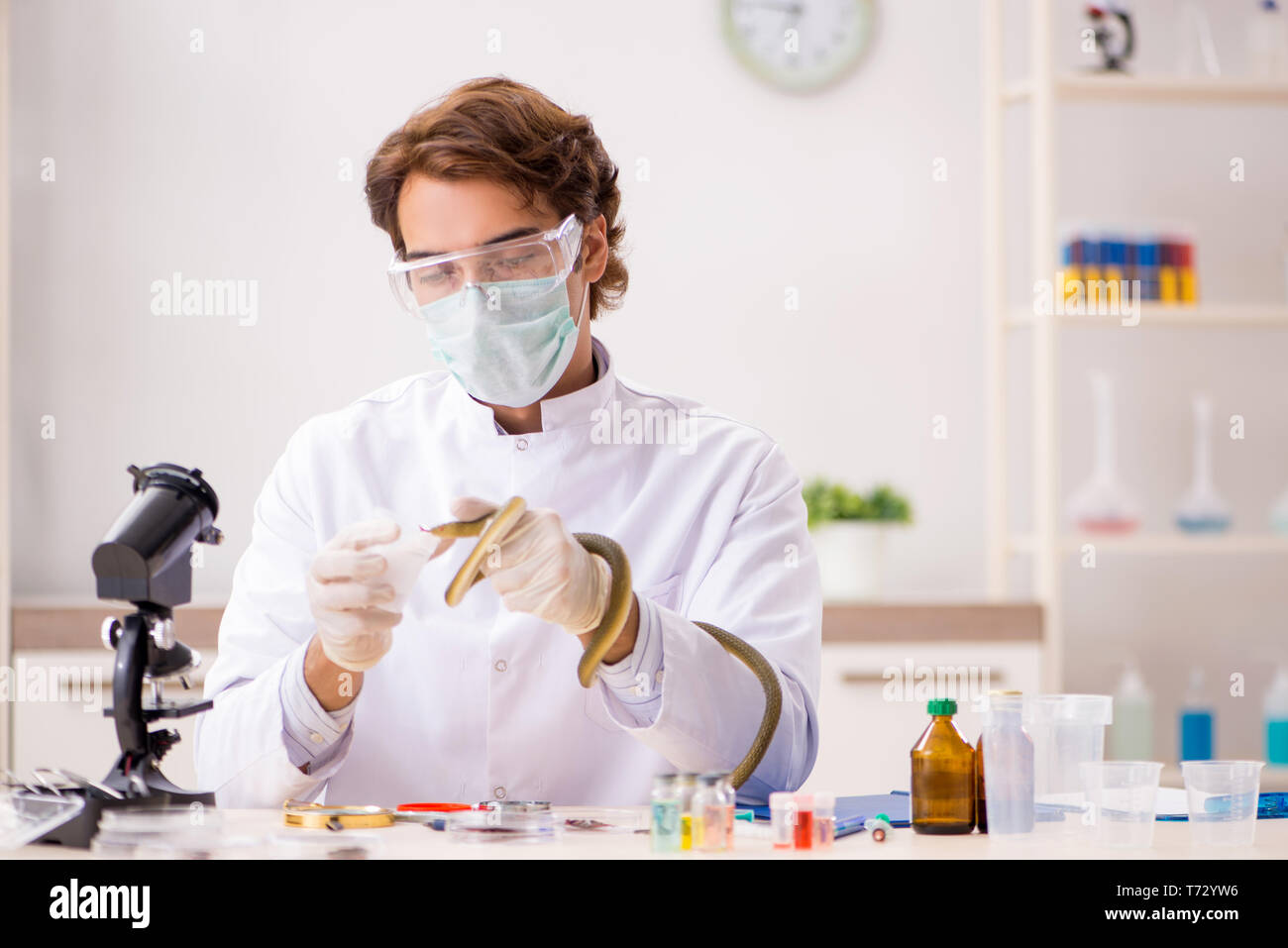 Male scientist extracting poison from snake for drug synthesis Stock ...