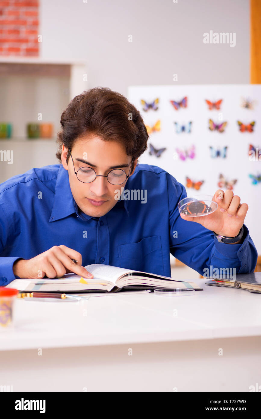 Scientist studying new species insect hi-res stock photography and ...