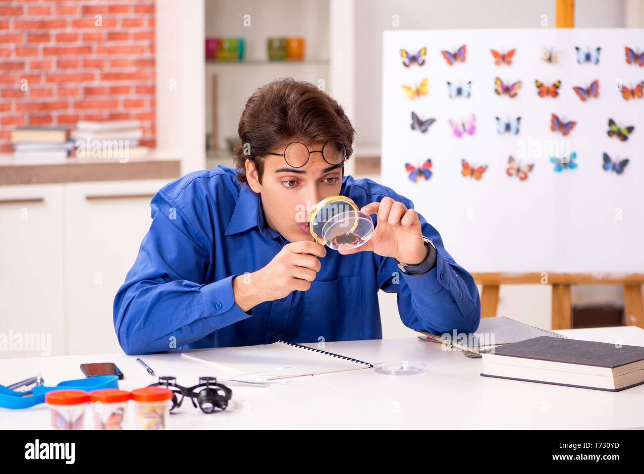Student entomologist studying new species of butterflies Stock Photo ...
