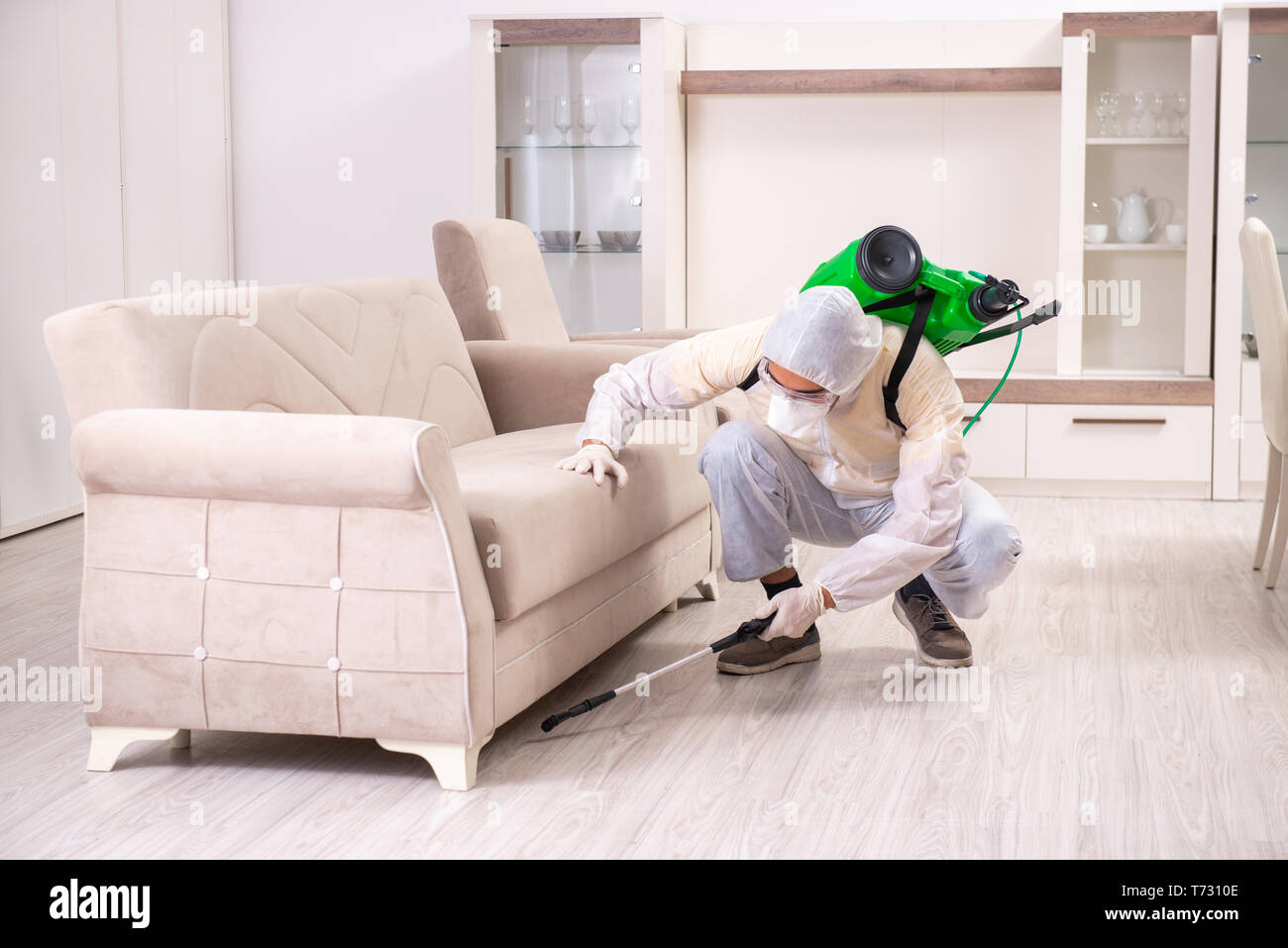 Pest control contractor working in the flat Stock Photo - Alamy