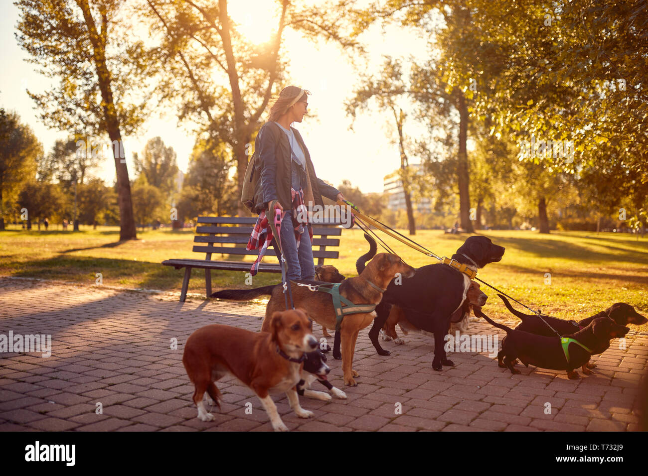 Walker couple summer hi-res stock photography and images - Alamy