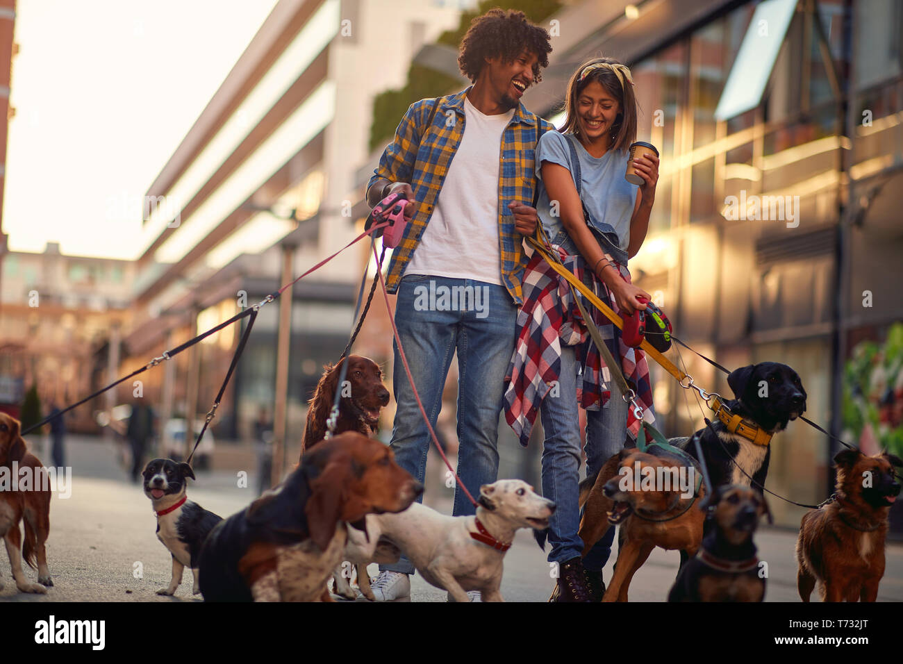Happy group of dogs with couple dog walker enjoying in walk outdoors ...