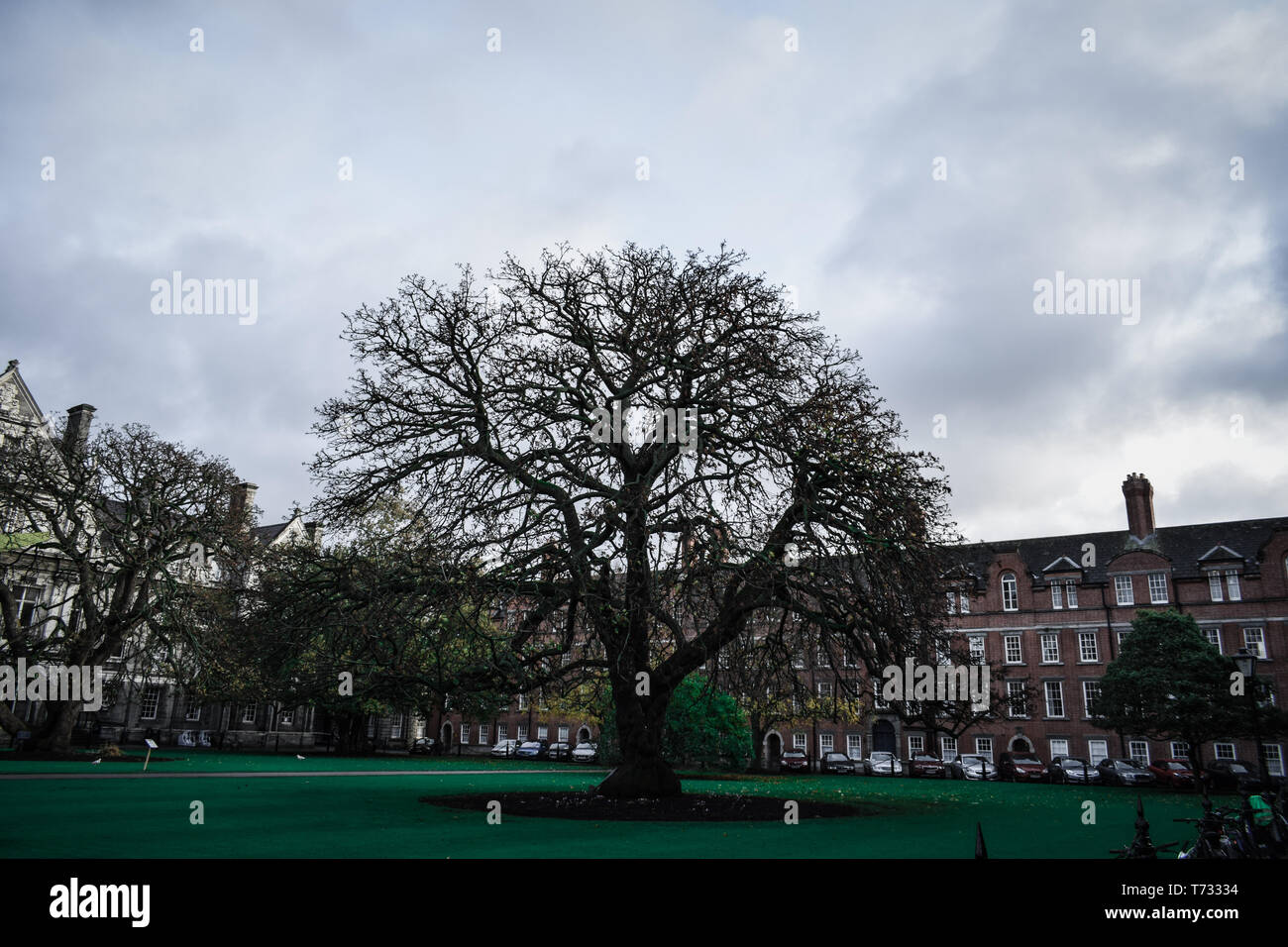 Campanile inside of the trinity college campus in Dublin, ireland Stock ...