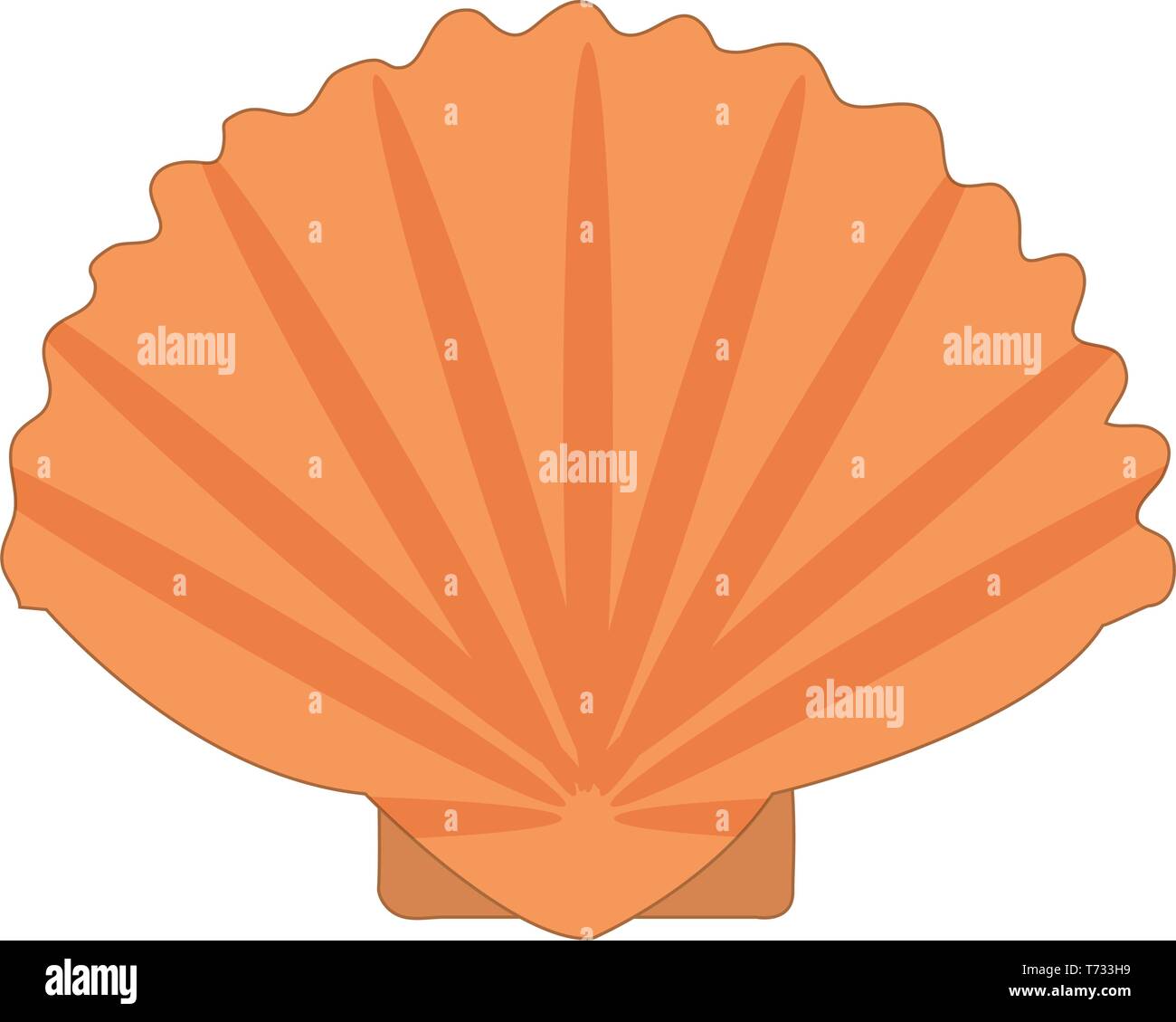 an orange shell on a white background Stock Vector Image & Art - Alamy