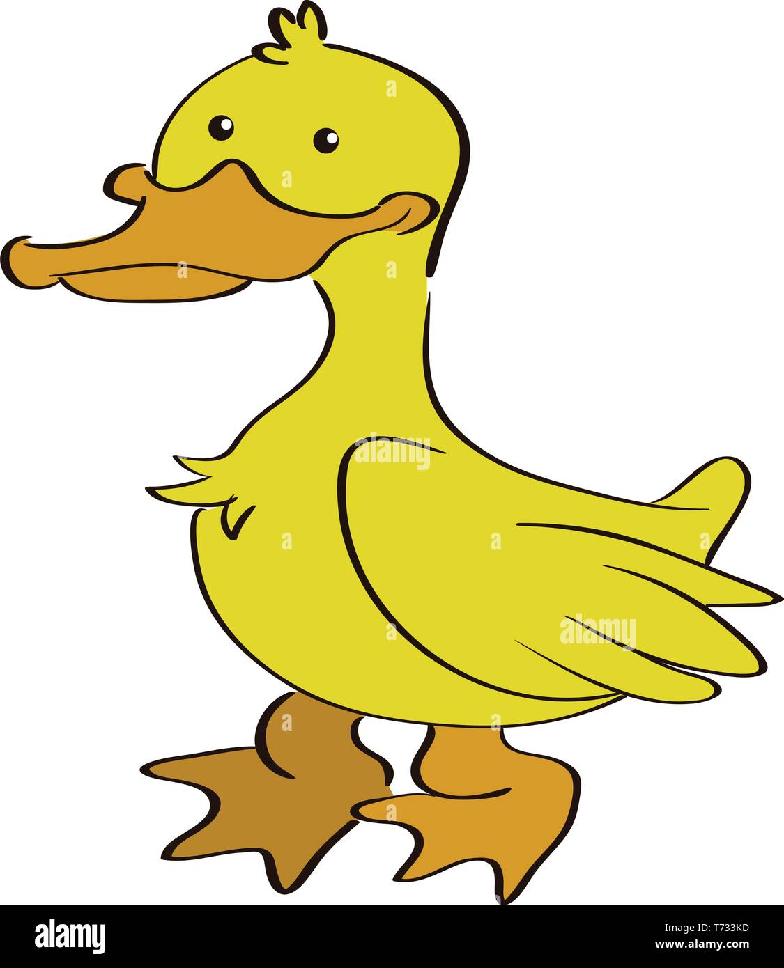 an isolated duck on a white background Stock Vector Image & Art - Alamy