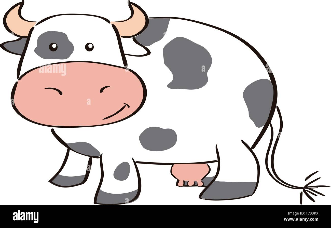 an isolated cow on a white background Stock Vector Image & Art - Alamy