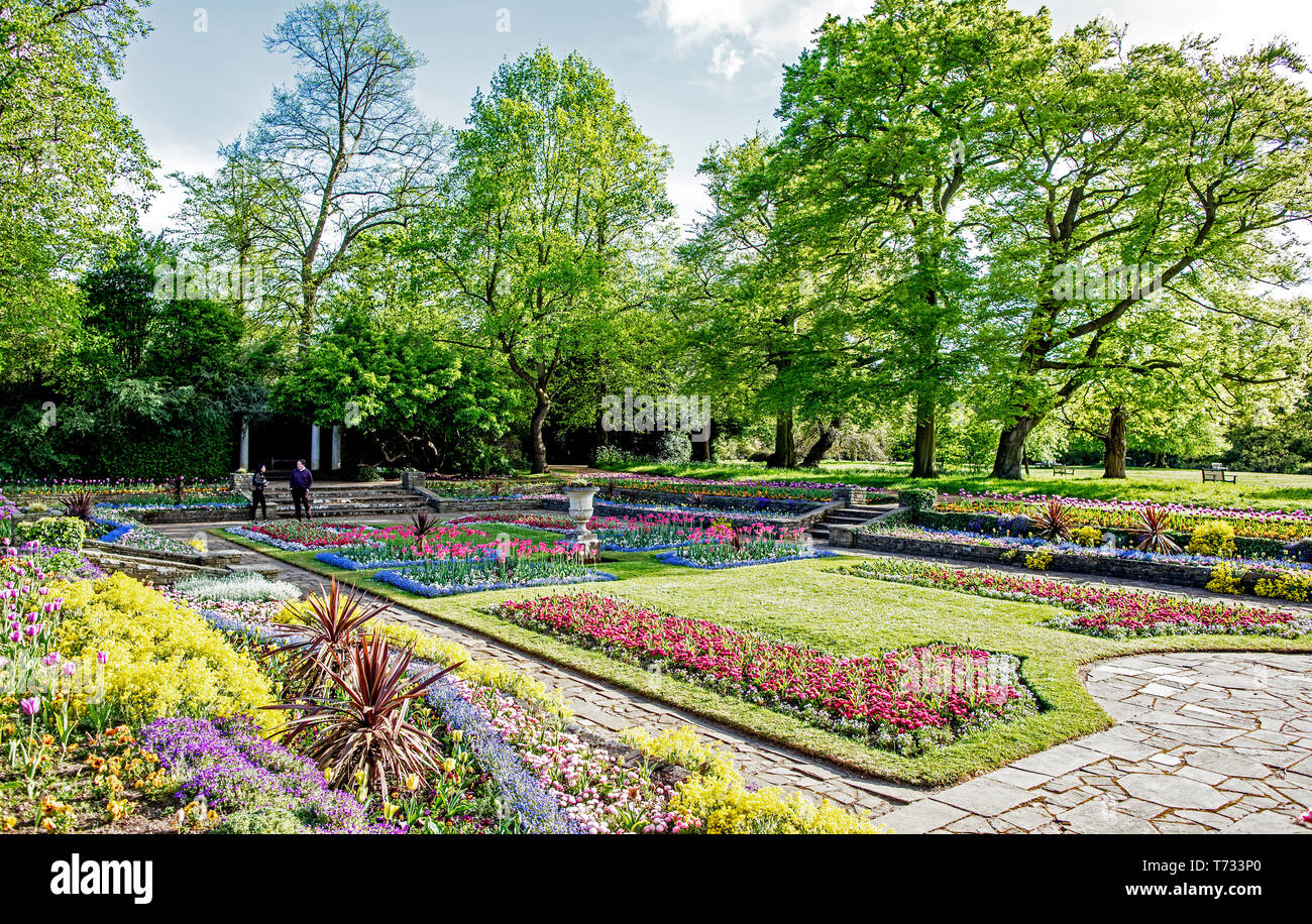 Spring Blossom In Cannizaro Park Wimbledon Surrey UK Stock Photo - Alamy