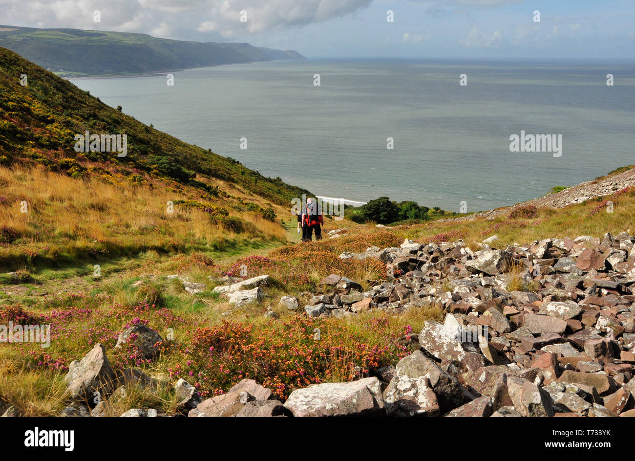 Walkers descending the rock strewn valley from Bossington Hill towards ...