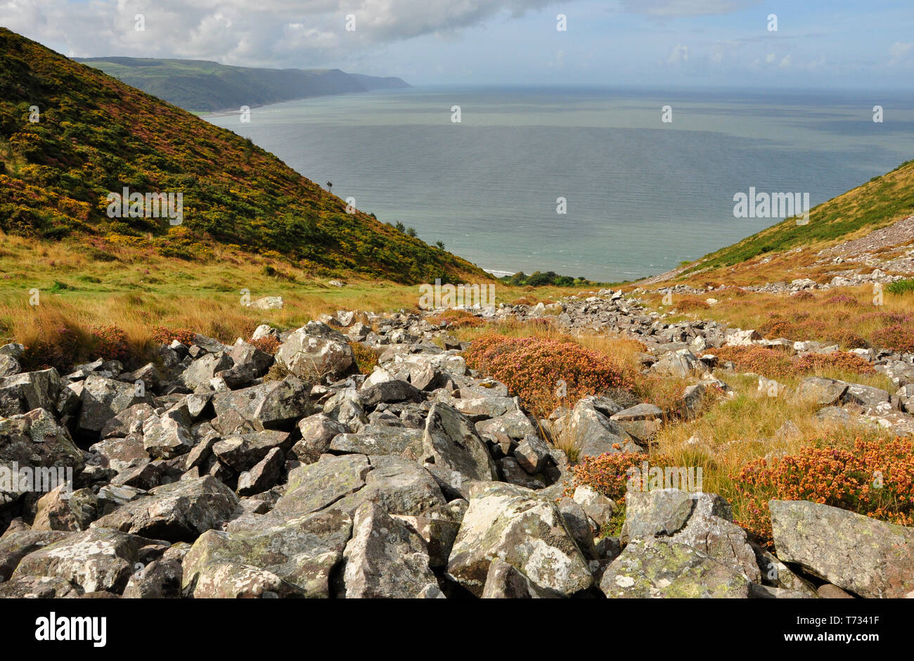 Minehead, somerset coast path hi-res stock photography and images - Alamy