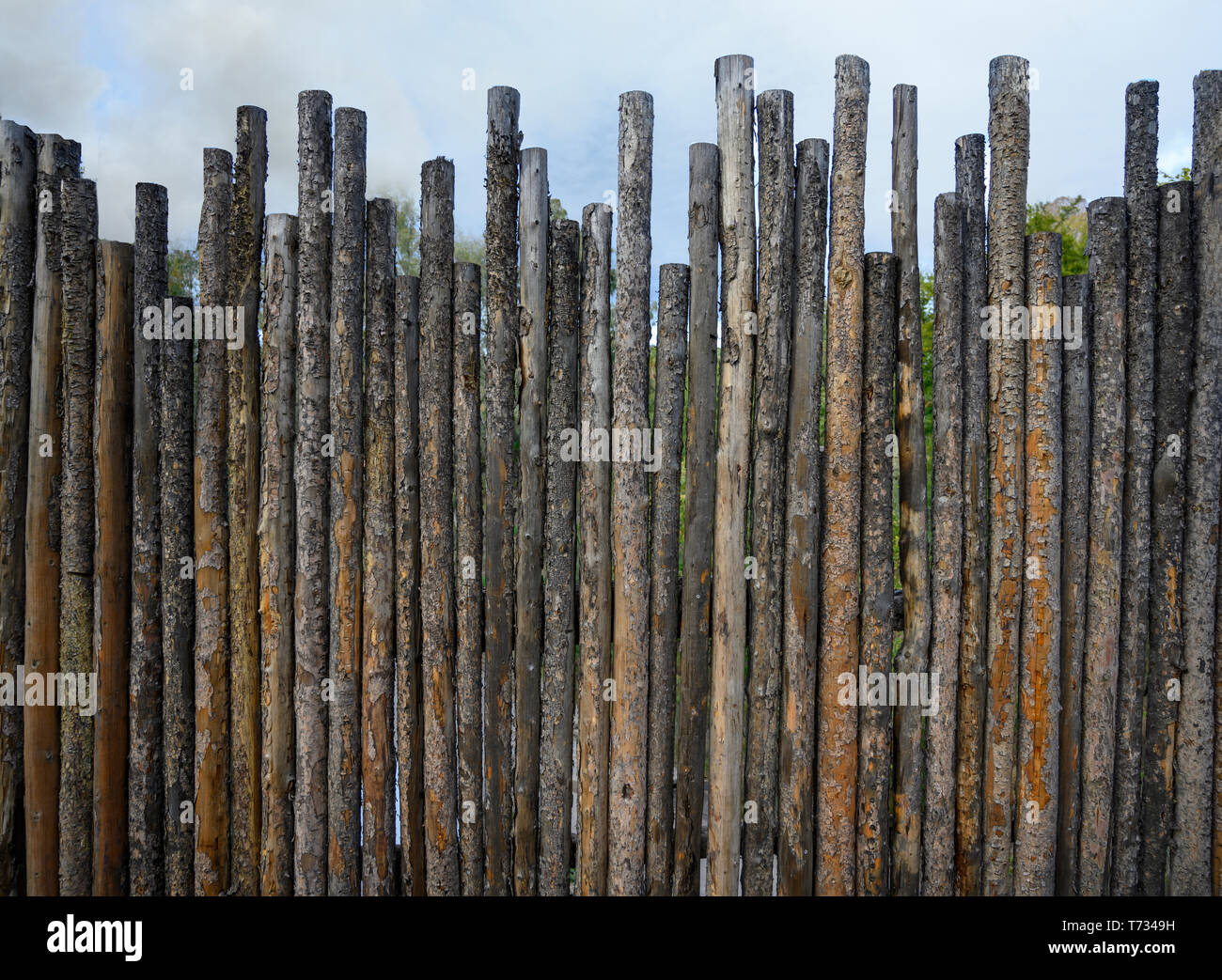 Tree Trunk Fence How To Brace A Fence Against The Wind Viking Fence