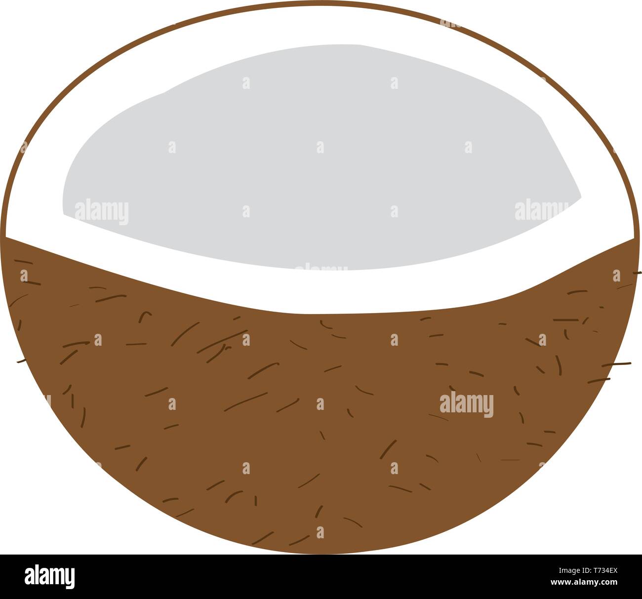Isolated cut coconut Stock Vector Image & Art - Alamy