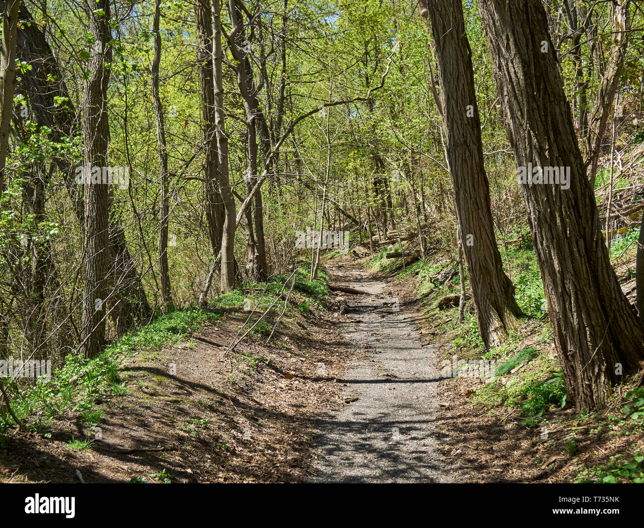 The Switchback Trail in spring, Jim Thorpe, Pennsylvania, USA Stock ...