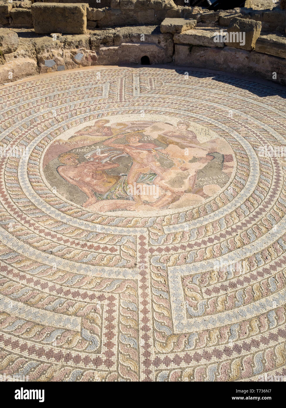 Theseus triumph mosaic from the House of Theseus in Paphos ...