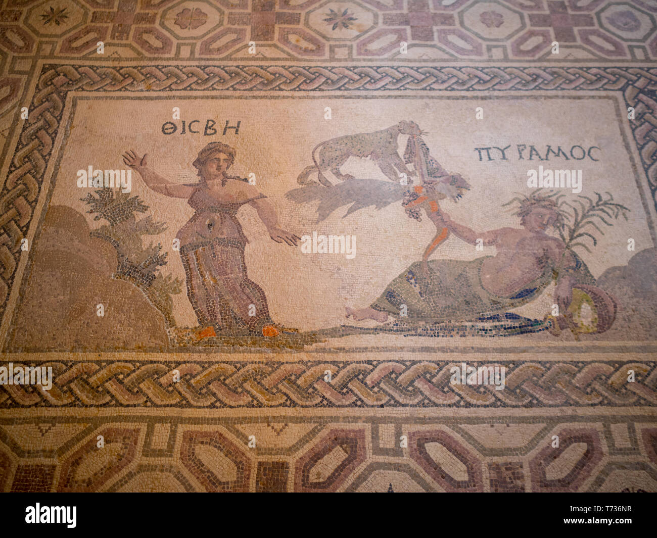 Mosaic from the House of Dionysus in Paphos Archeological Site Stock ...