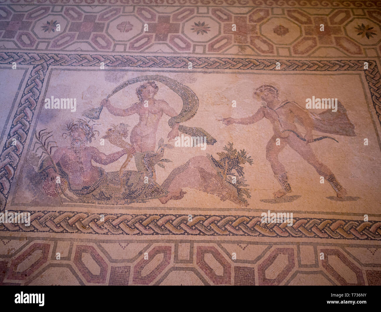 Apollo And Daphne Mosaic High Resolution Stock Photography and Images ...