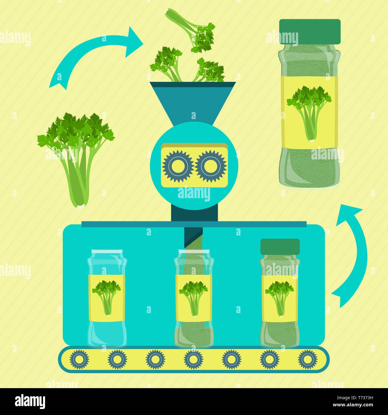 Parsley powder line series production. Factory of parsley powder. Fresh ...