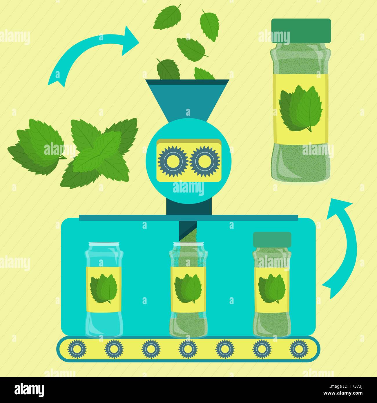 Dried spearmint Stock Vector Images - Alamy