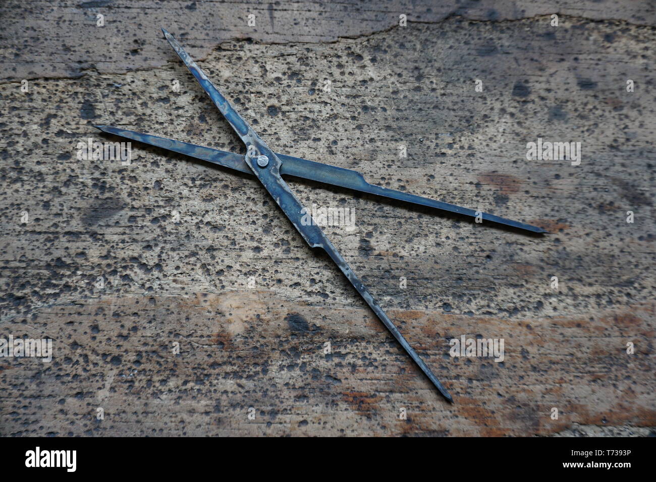 Dividing compass hi-res stock photography and images - Alamy