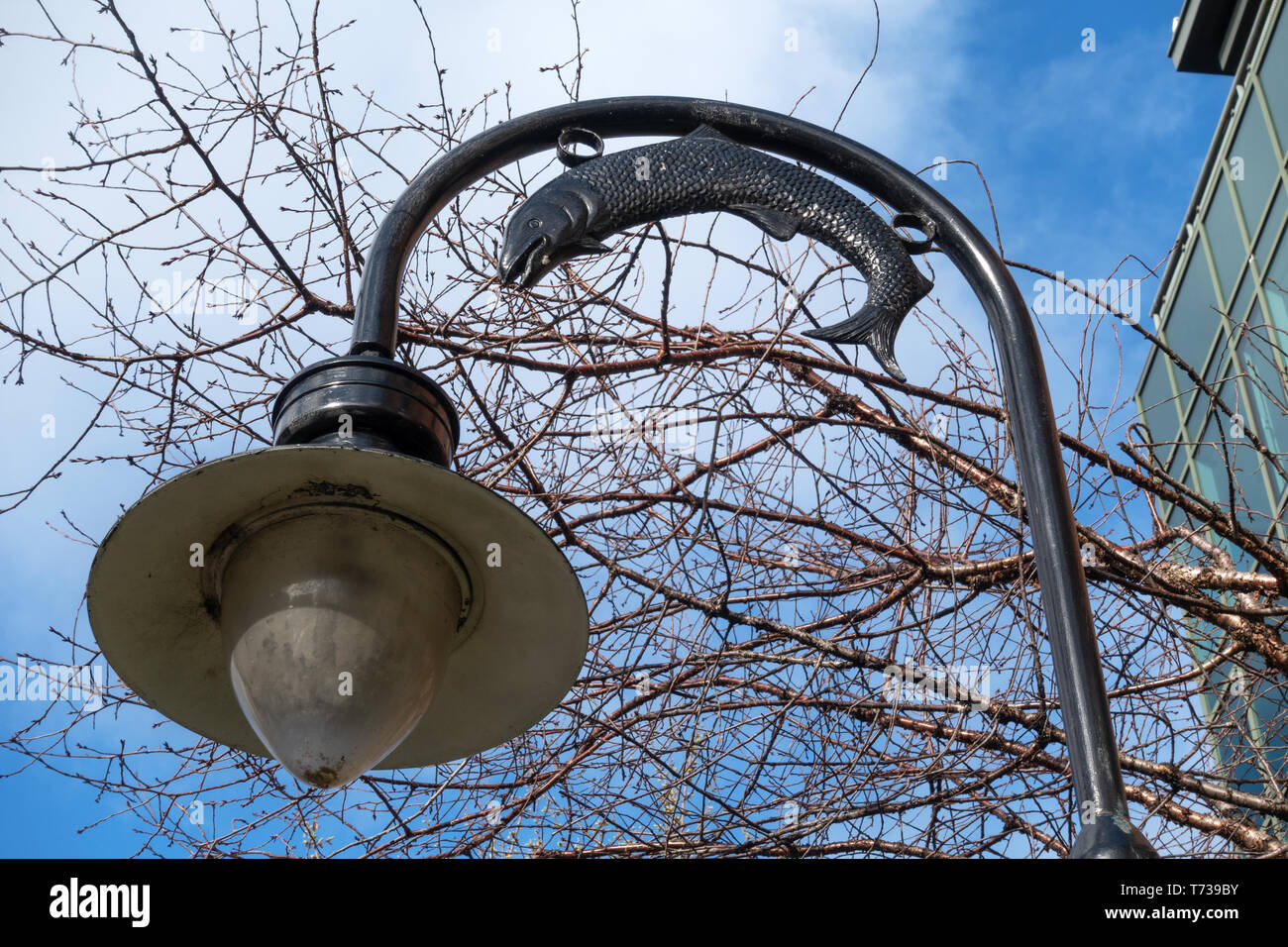 Lamp Post Dublin, Financial Centre, Docklands, Ireland Stock Photo - Alamy