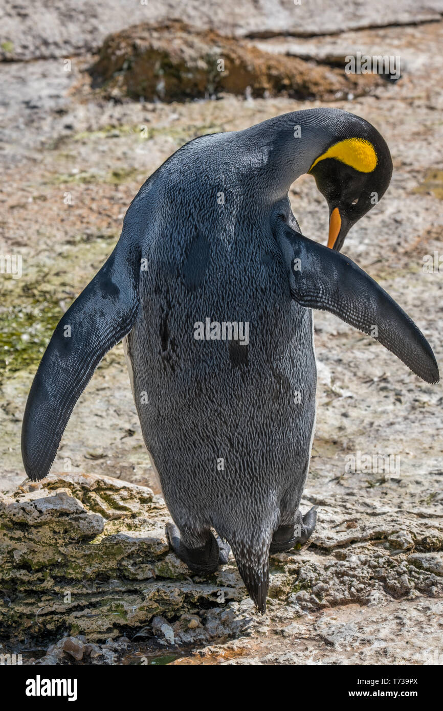 Wordley hi-res stock photography and images - Alamy